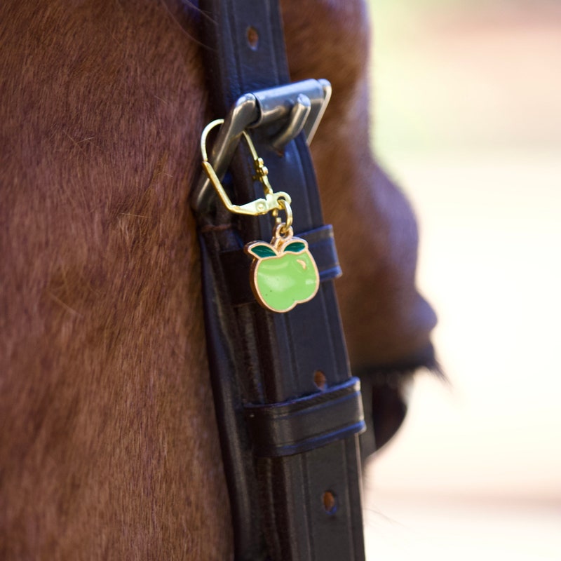 Bridle Charm for Horses - Etsy