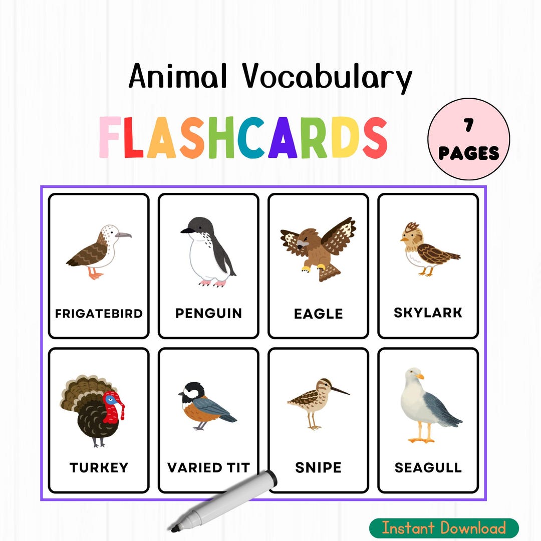 Animals Vocabulary Montessori Cards, Flash Cards Nomenclature ...