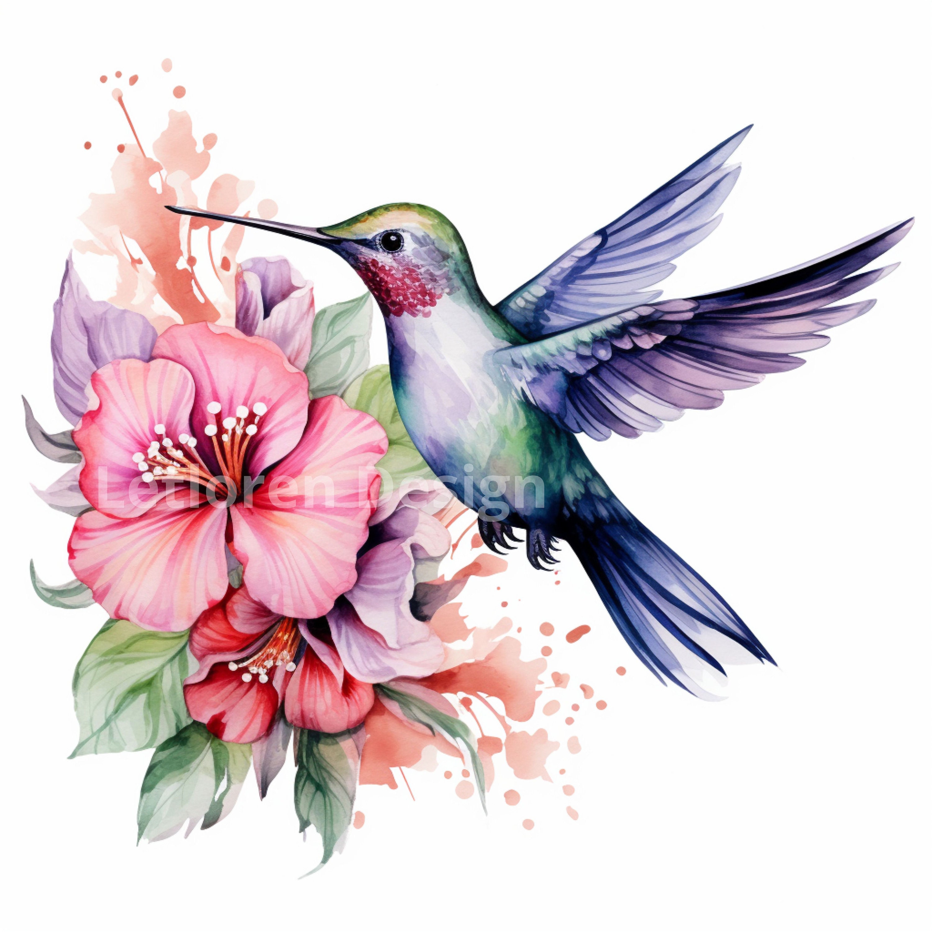 Watercolor Hummingbird With Flower JPG, Digital Art for Prints, Crafts ...