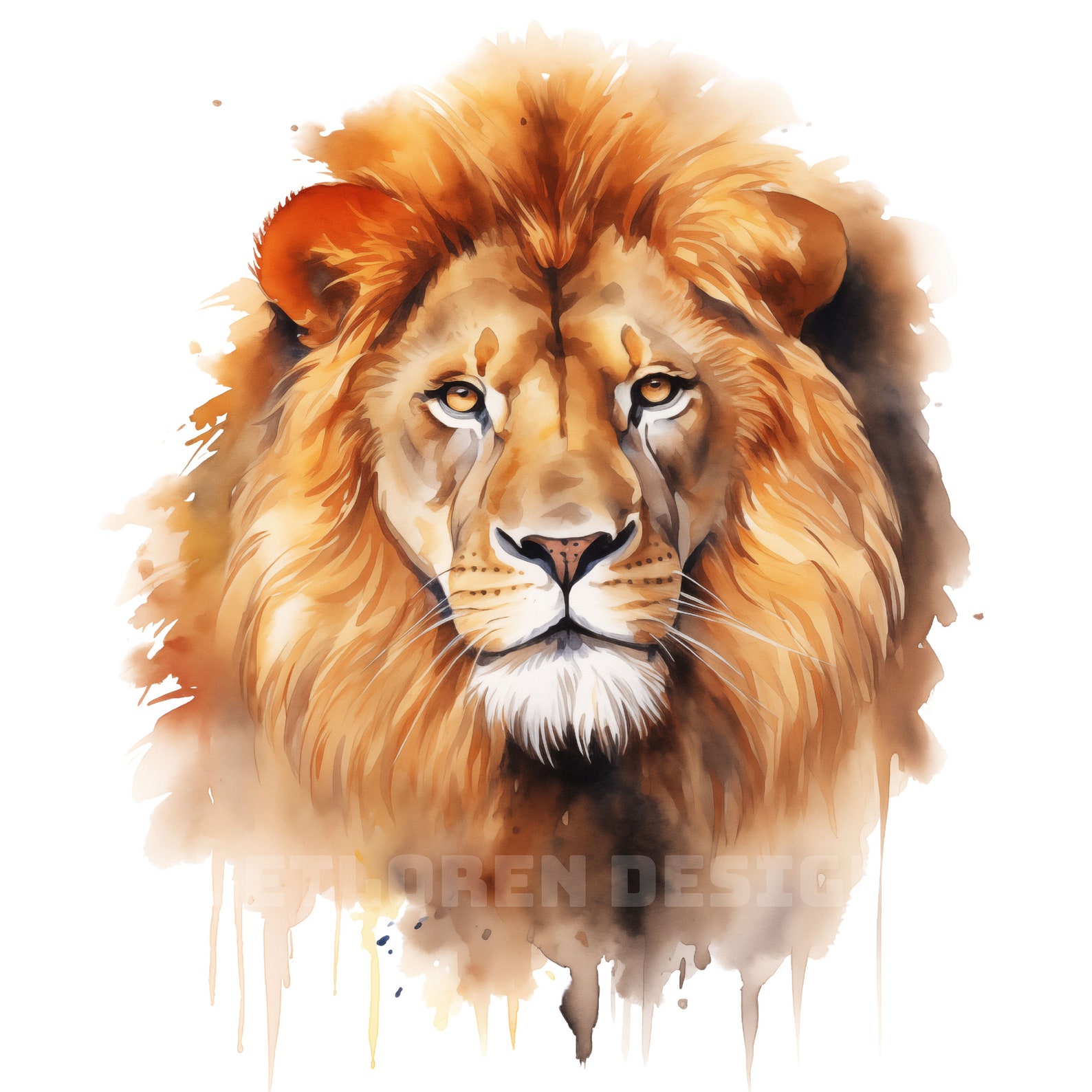 Set of 14 Png, Watercolor Lion Clipart, Lion PNG, Boho Lion Set ...