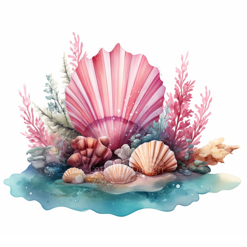 10 Sea Shells Clipart, Seashell Clipart, Printable Watercolor Clipart ...