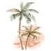 Palm Tree Designs Clipart Wall Art, Planners, Calendars, Scrapbooking ...