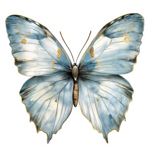 Watercolor Butterflies Clipart, Spring Clipart, Butterfly Illustrations ...