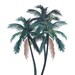 Palm Tree Designs Clipart Wall Art, Planners, Calendars, Scrapbooking ...