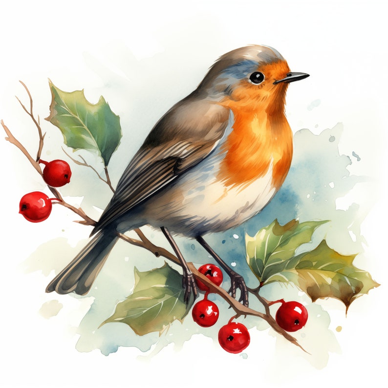 14 Christmas Robin Clipart, Robin Love, Printable Watercolor Clipart ...