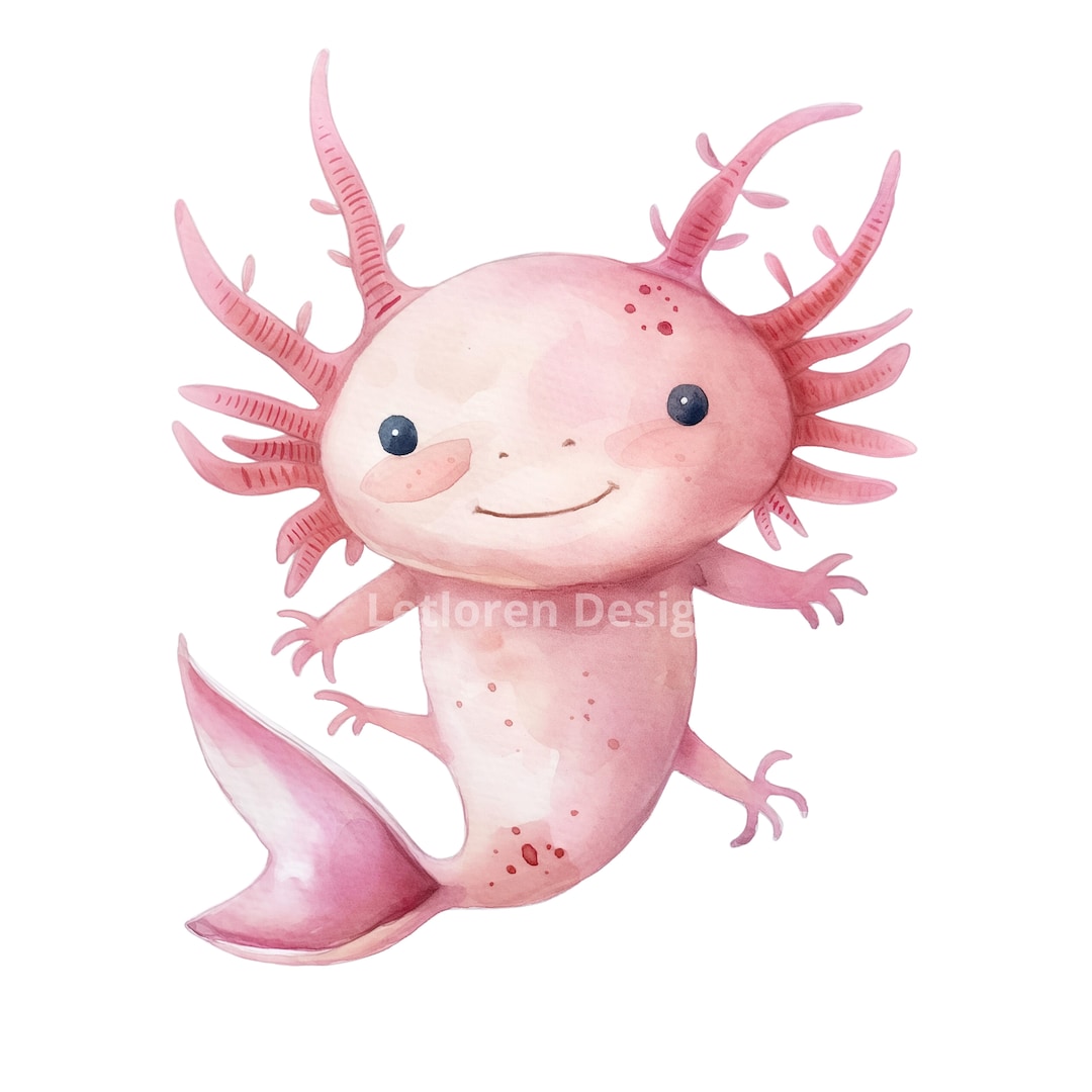 Cute Axolotl Cliparts for Creative Project, 13 High Quality Jpgs, Sea ...