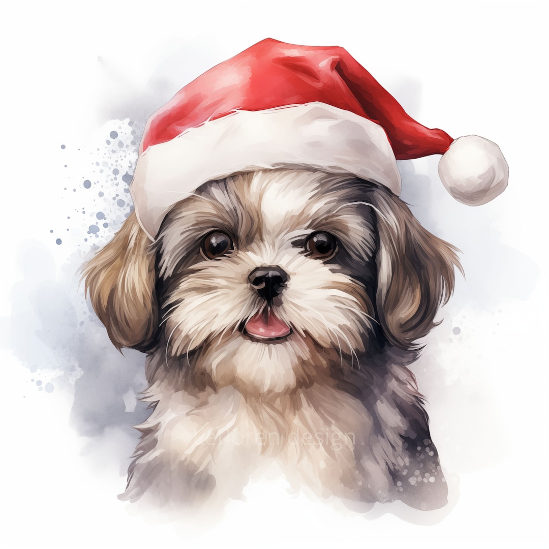 10 High Quality Designs of Shih Tzu, Shih Tzu Christmas, Dog Breed ...