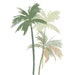 Palm Tree Designs Clipart Wall Art, Planners, Calendars, Scrapbooking ...