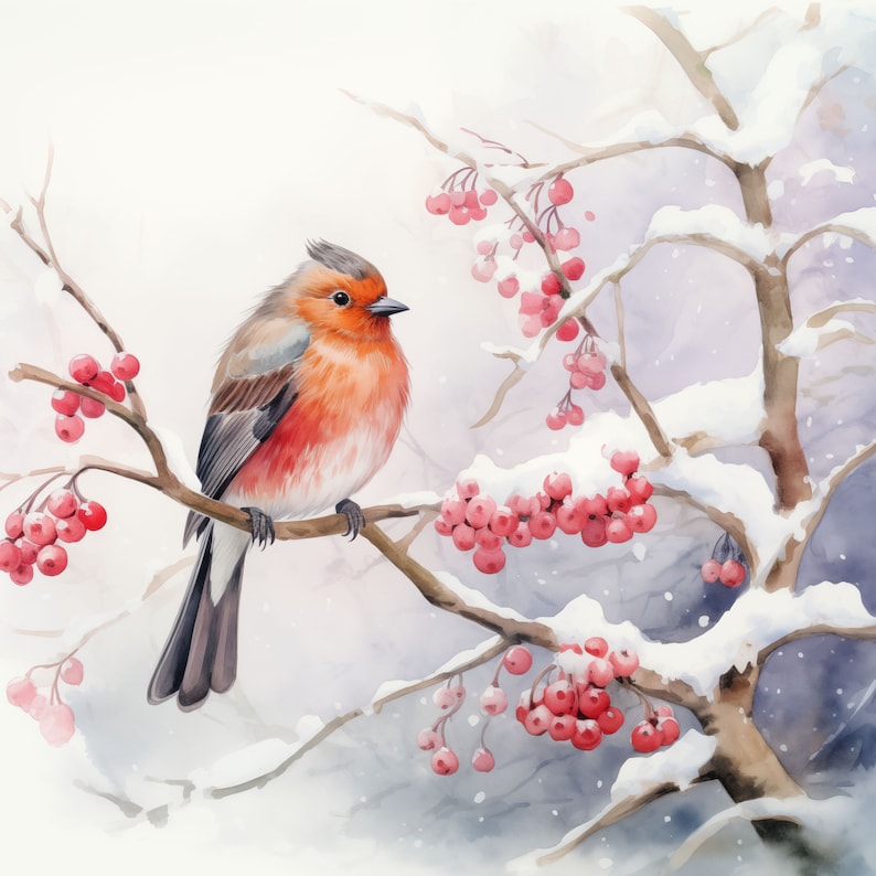 14 Christmas Robin Clipart, Robin Love, Printable Watercolor Clipart ...
