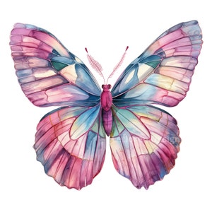 Watercolor Butterflies Clipart, Spring Clipart, Butterfly Illustrations ...