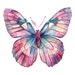 Watercolor Butterflies Clipart, Spring Clipart, Butterfly Illustrations ...