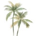Palm Tree Designs Clipart Wall Art, Planners, Calendars, Scrapbooking ...