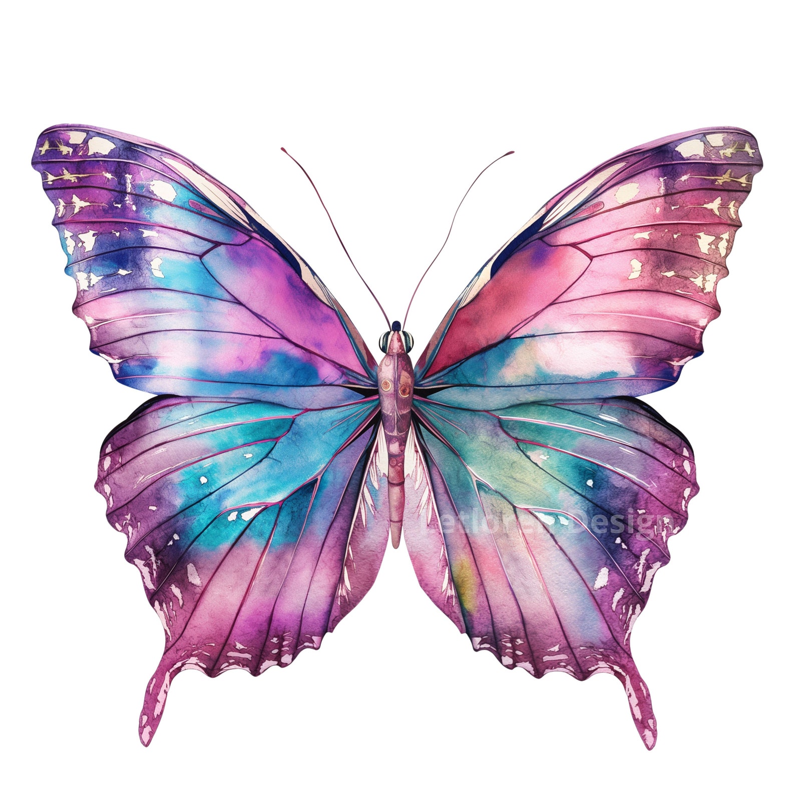 Watercolor Butterflies Clipart, Spring Clipart, Butterfly Illustrations ...
