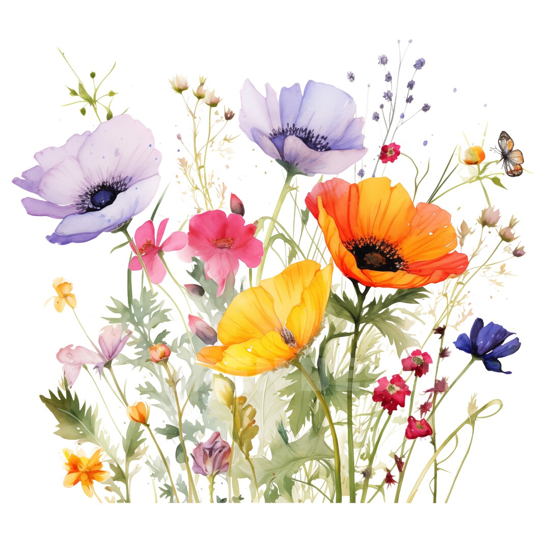 Watercolor Wildflowers PNG, Wildflower Clipart, Watercolor Flowers Png ...