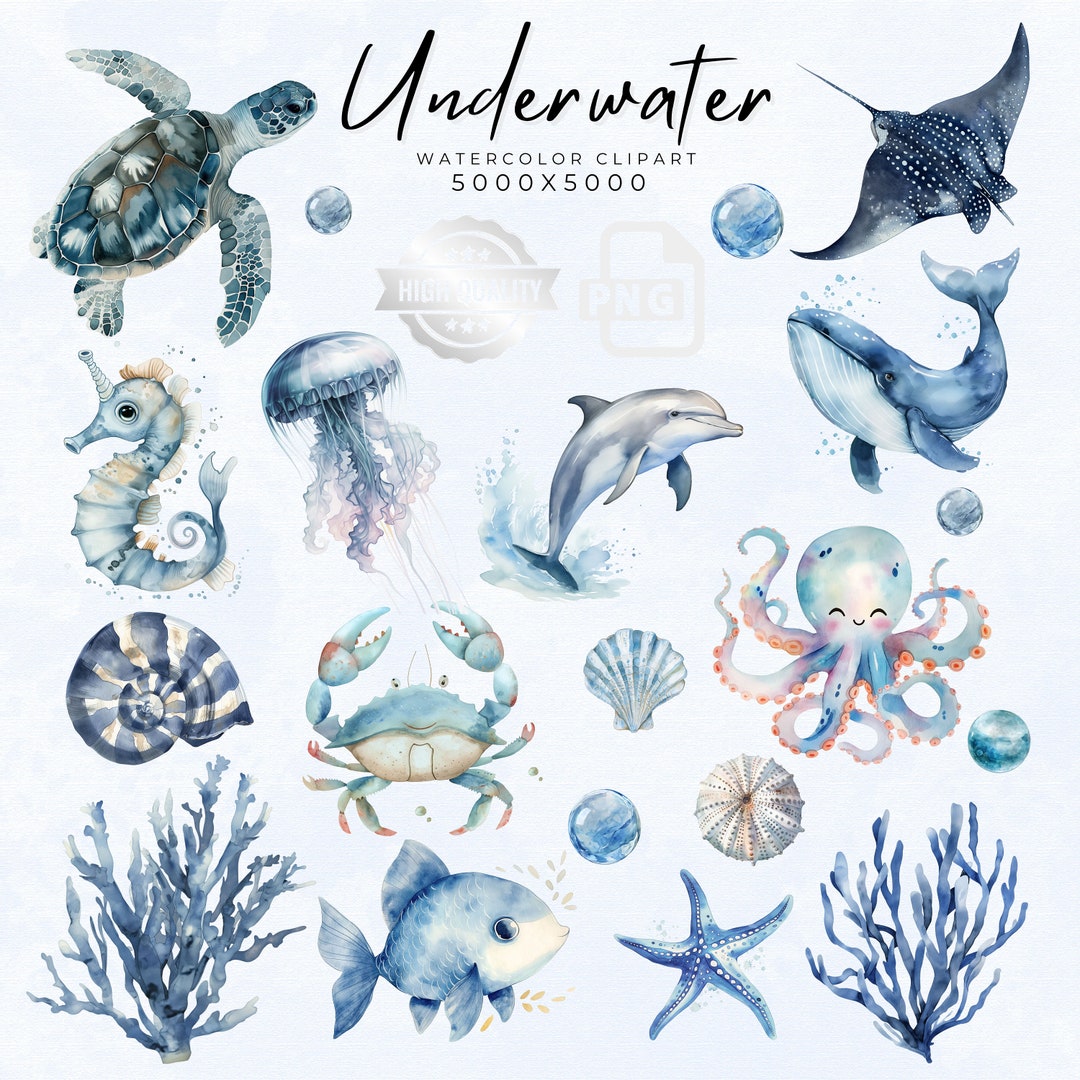 Undersea Watercolor Clipart Bundle, 18 High Quality Png, Sublimation ...