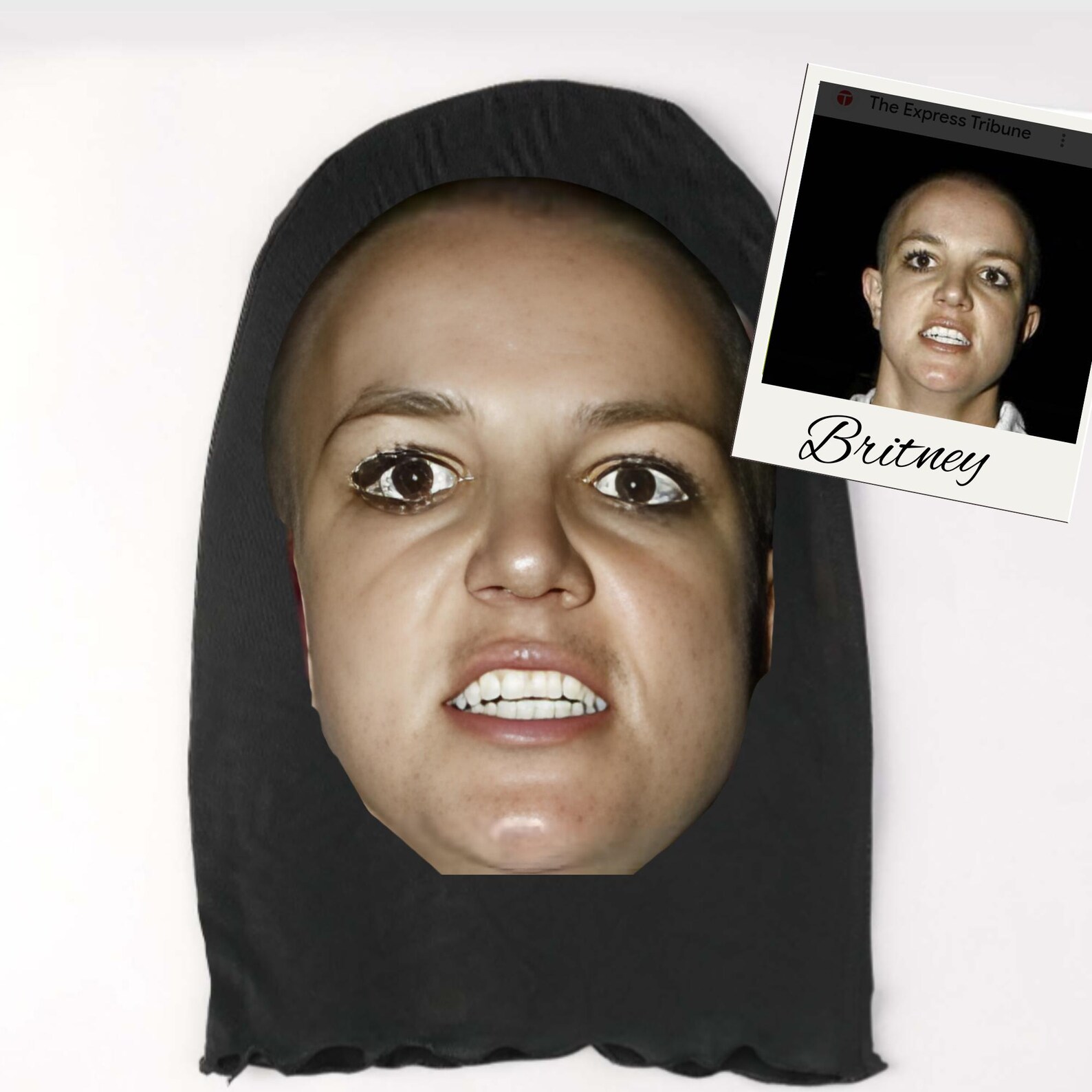 Michael Scott the Office Felon Custom 3D Spoof Mask Funny Celebrity ...