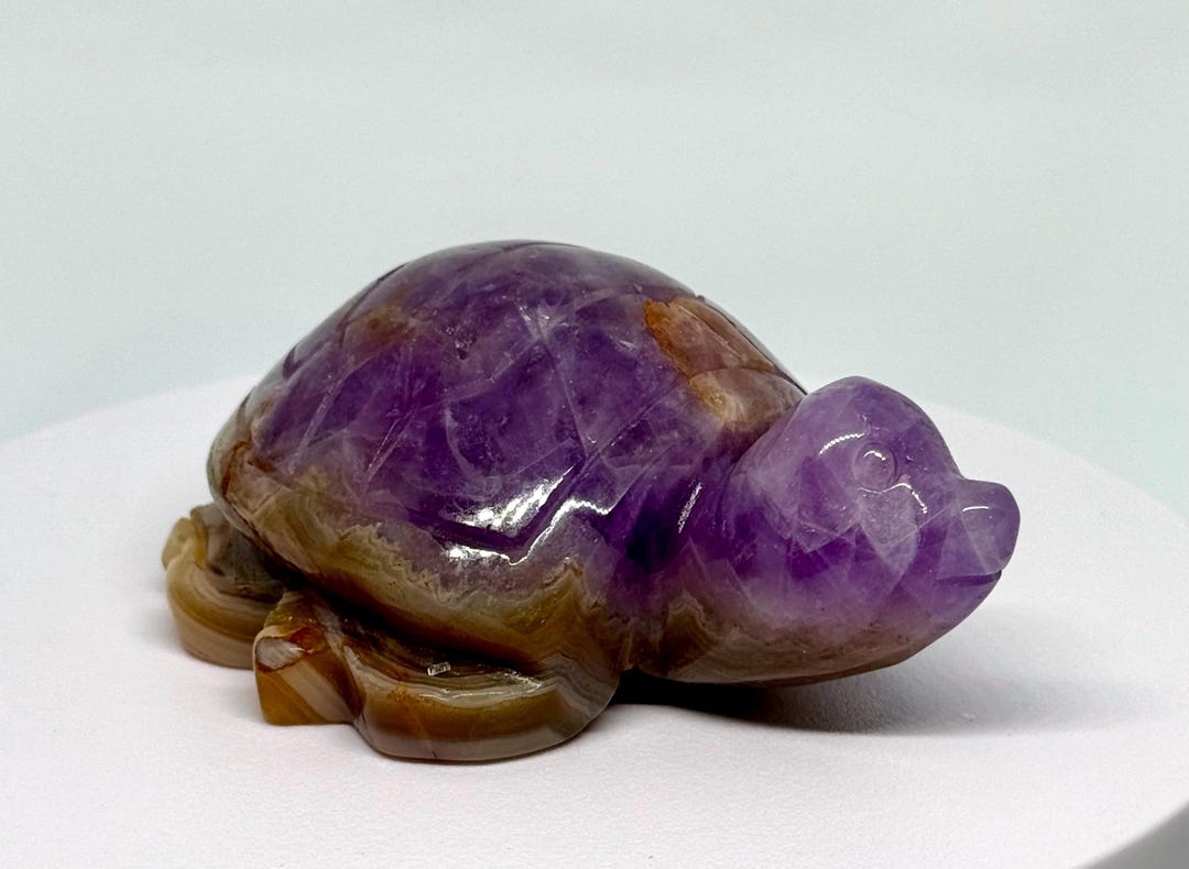 Amethyst and Crazy Lace Sea Turtle Carving - Etsy