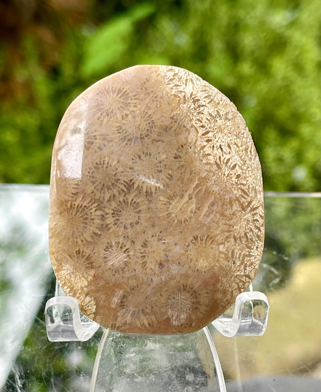 Coral Jasper Palm Stone - Etsy
