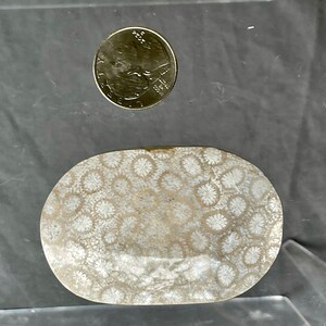Coral Jasper Palm Stone - Etsy