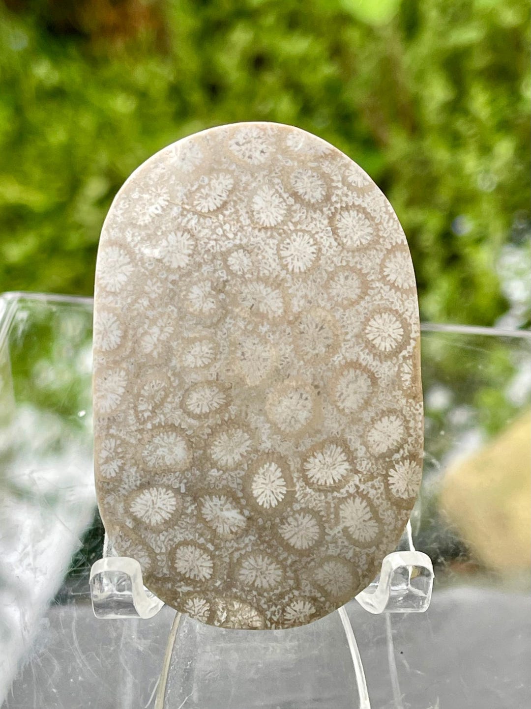 Coral Jasper Palm Stone - Etsy