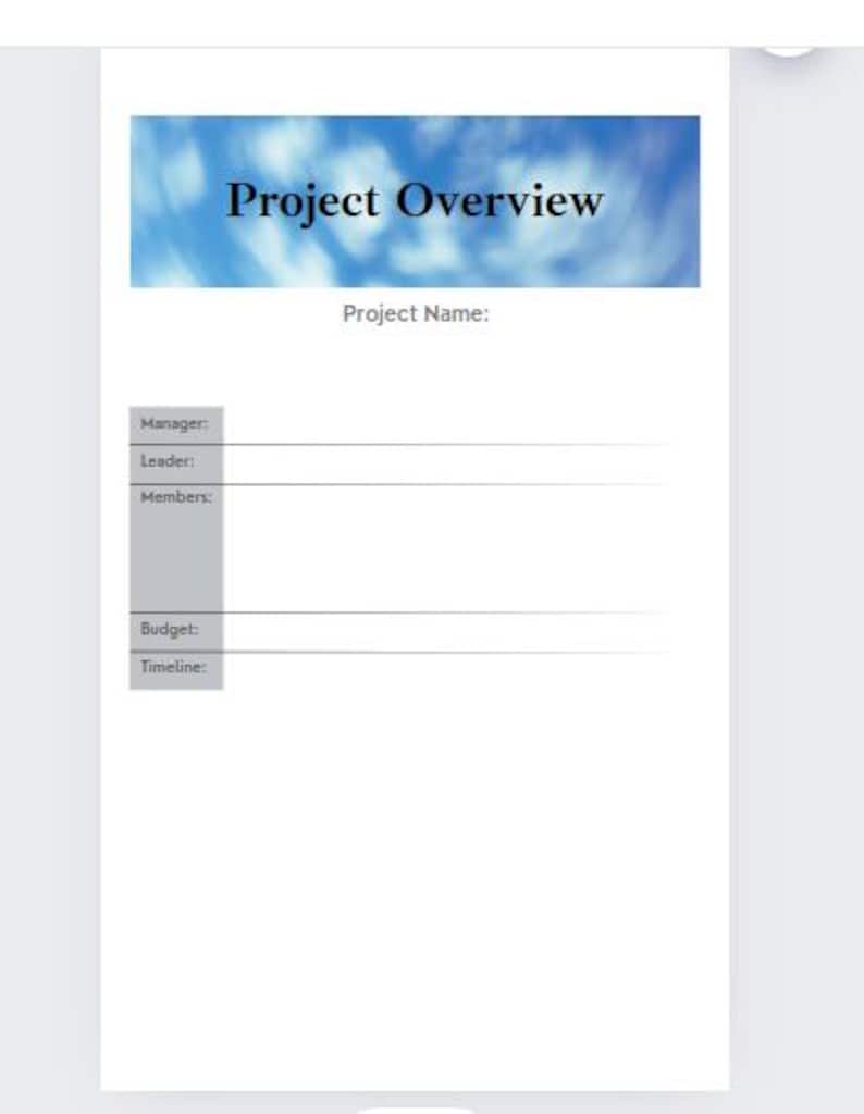 Editable Printable Project Overview Page - Etsy