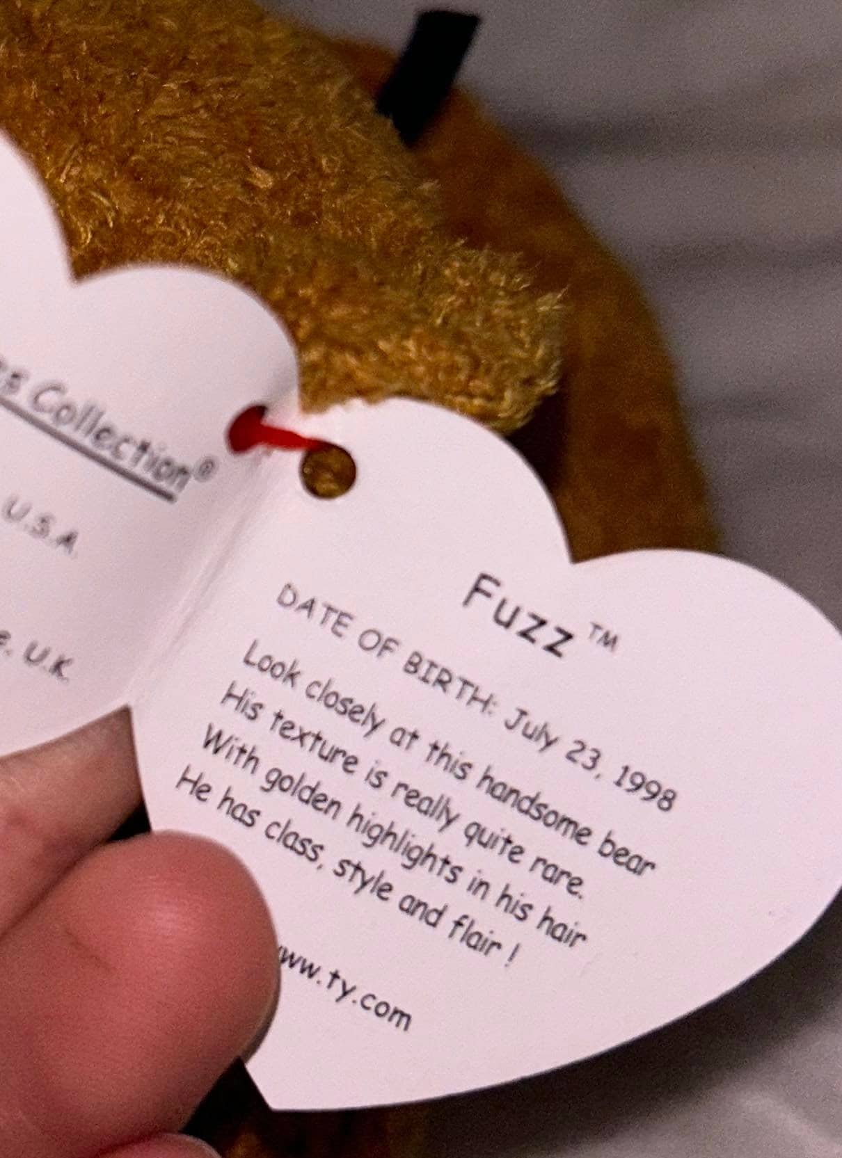 Original Ty Fuzz Bear Beanie Baby 1998 Retired and Vintage Mint ...