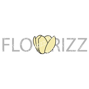 Pikake Lei Flower Set - Pikake Lei Flower Clip Art - Svg, Eps, Pdf, Png ...