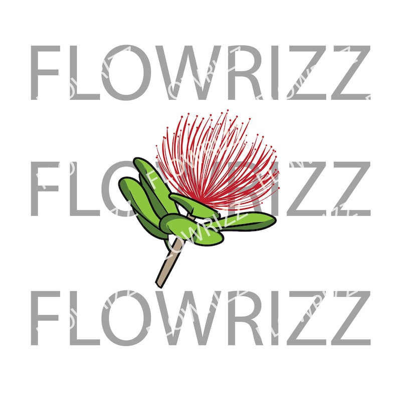 Lehua Flower Set - Lehua Branch Set - Lehua Flower/branch Clip Art ...