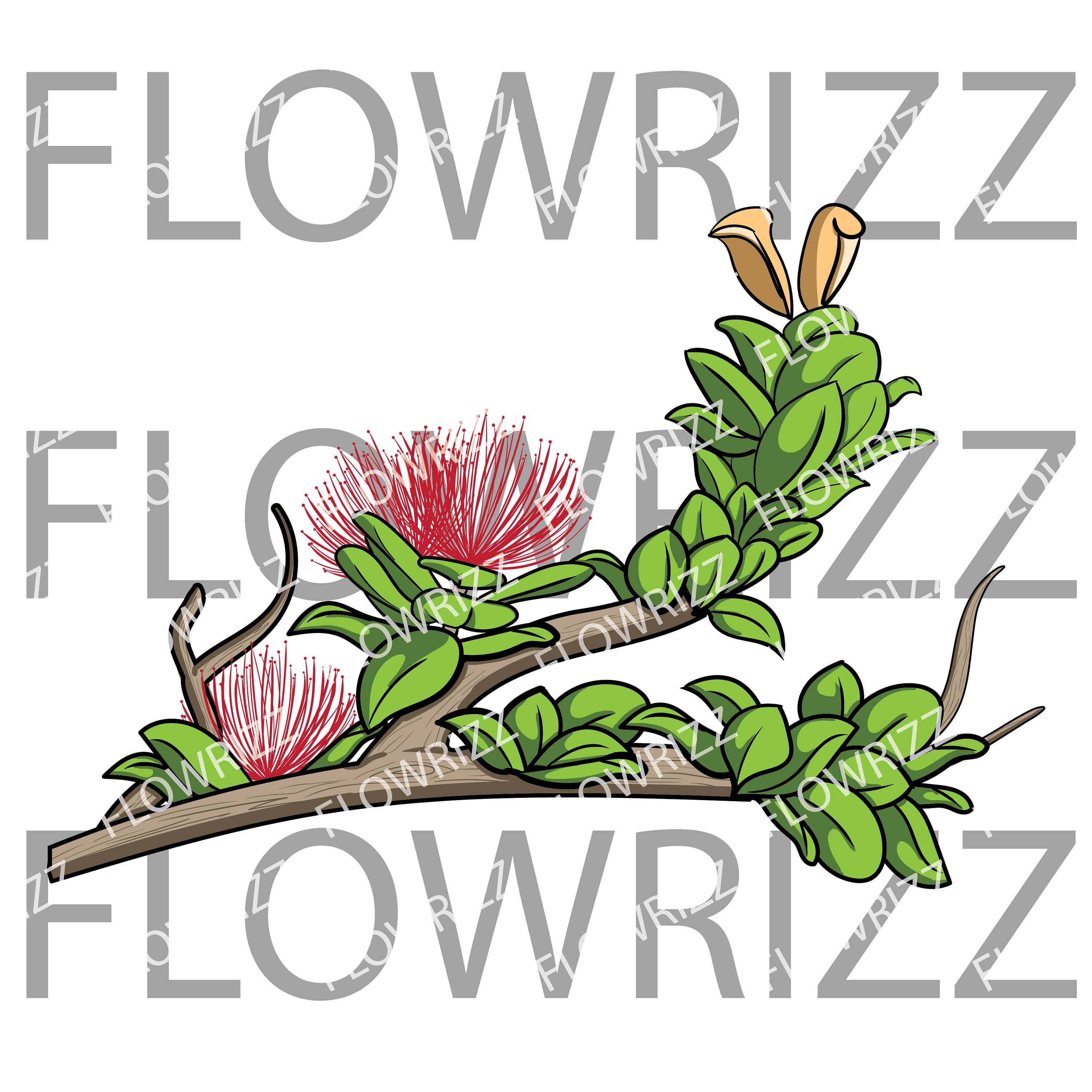 Lehua Flower Set - Lehua Branch Set - Lehua Flower/branch Clip Art ...