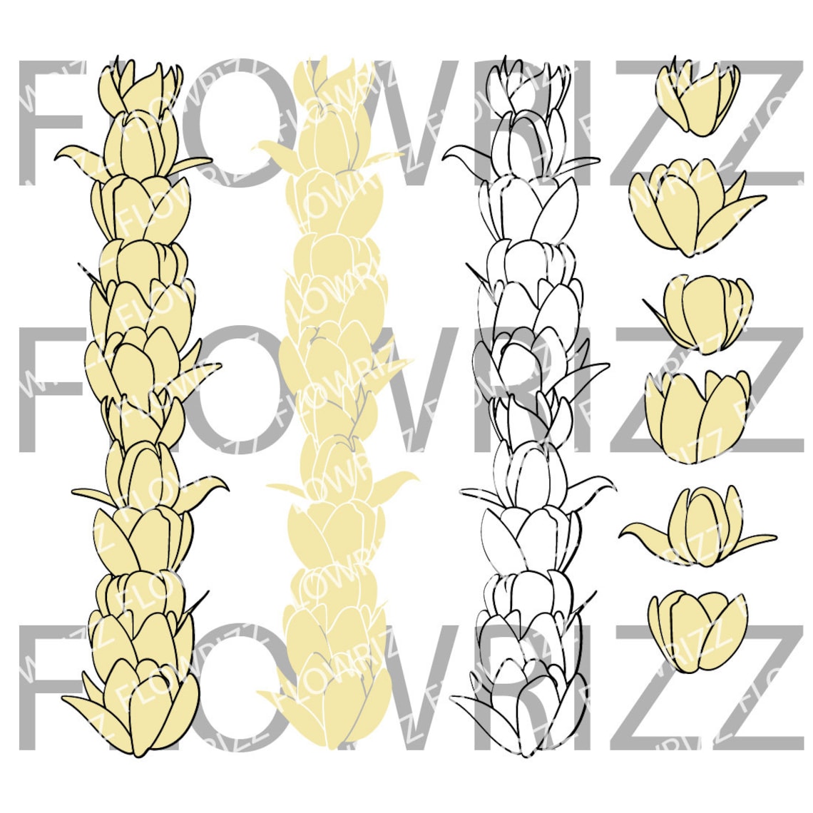 Pikake Lei Flower Set - Pikake Lei Flower Clip Art - Svg, Eps, Pdf, Png ...