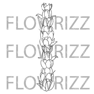 Pikake Lei Flower Set - Pikake Lei Flower Clip Art - Svg, Eps, Pdf, Png ...
