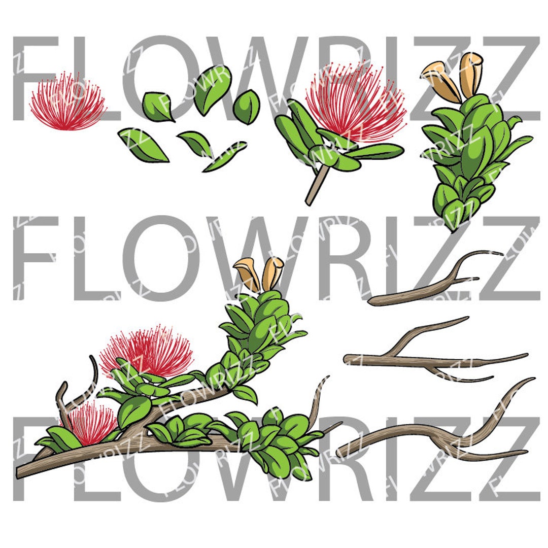 Lehua Flower Set - Lehua Branch Set - Lehua Flower/branch Clip Art ...