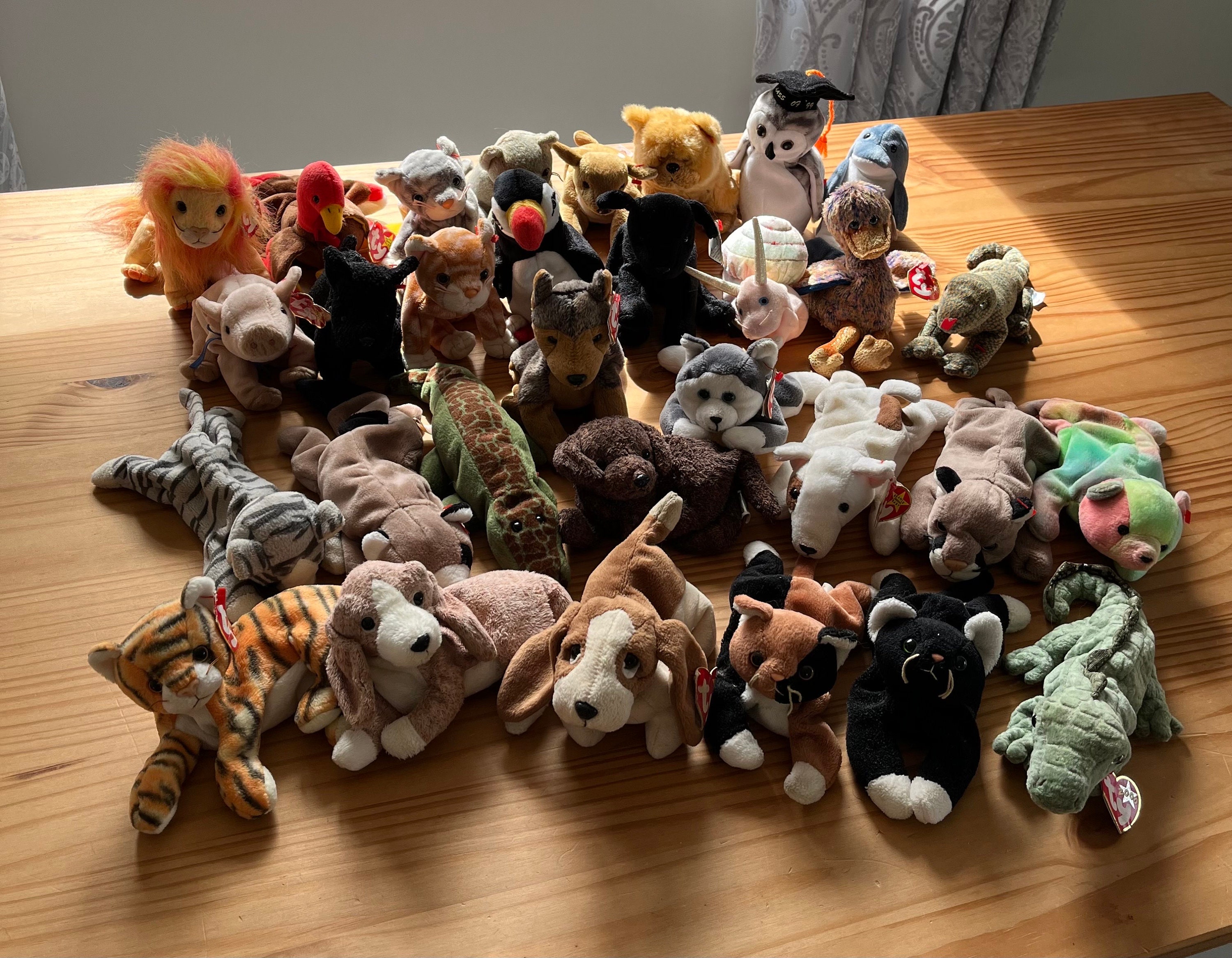 All beanie babies store