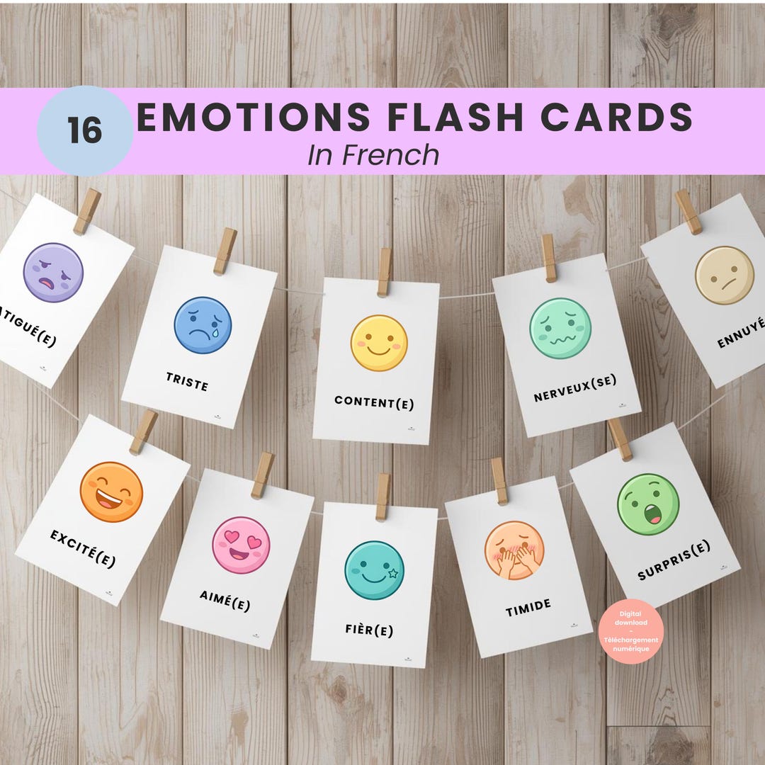 Emotion Flashcards for Kids in FRENCH, Montessori Feelings Cards ...