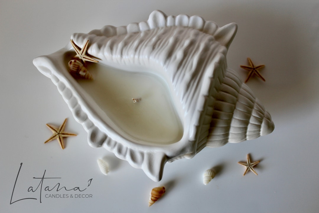 Shell Candle | Seashell Candle Jar | Jewelry Box Storage | Handmade ...