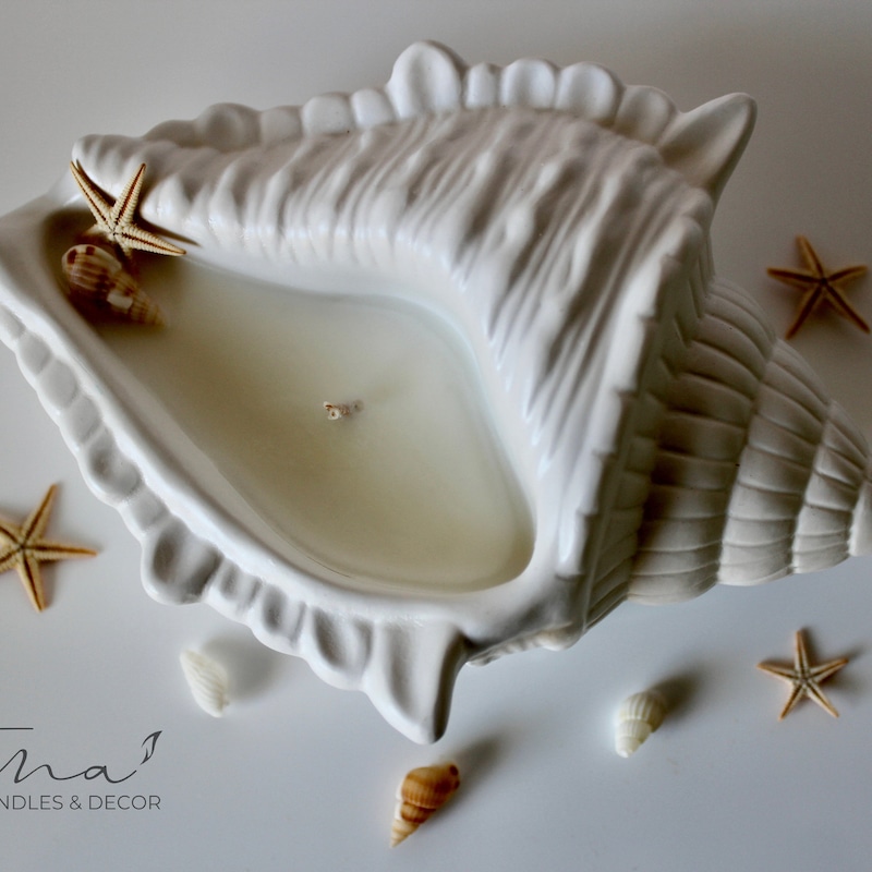 Seashell Candle - Etsy