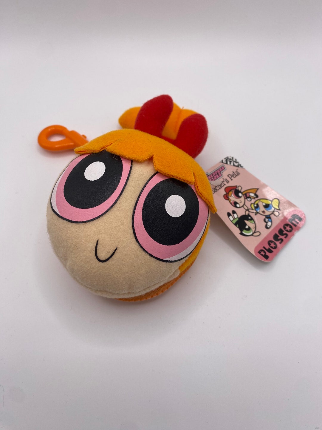 Vintage 2001 Cartoon Network Powerpuff Girls Blossom Teacher's Pets ...