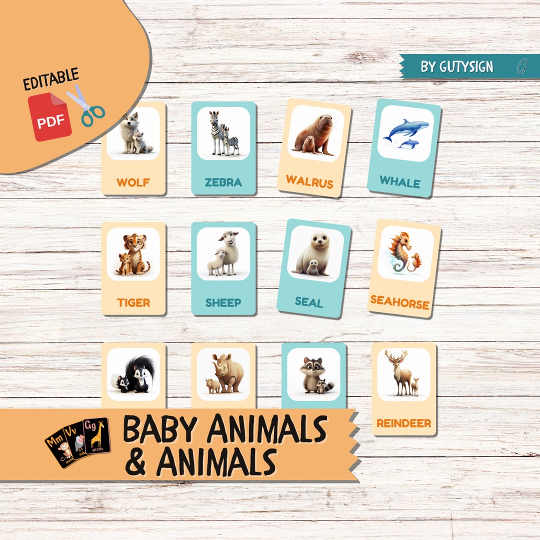 Animals Flashcards Flash Cards Animals Digital Download - Etsy