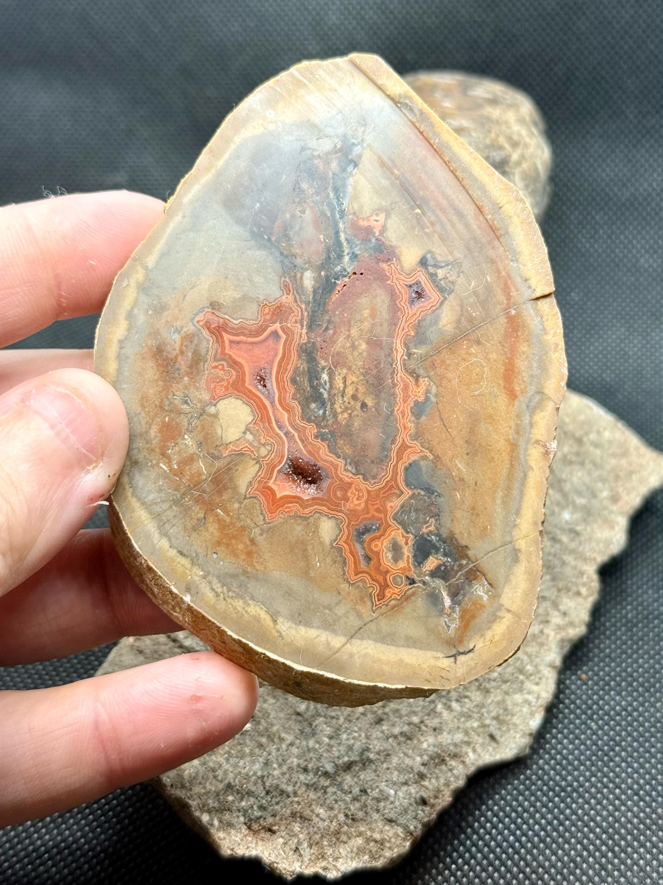 Stunning Full-round Teepee Canyon Agate Slab From South Dakota ...