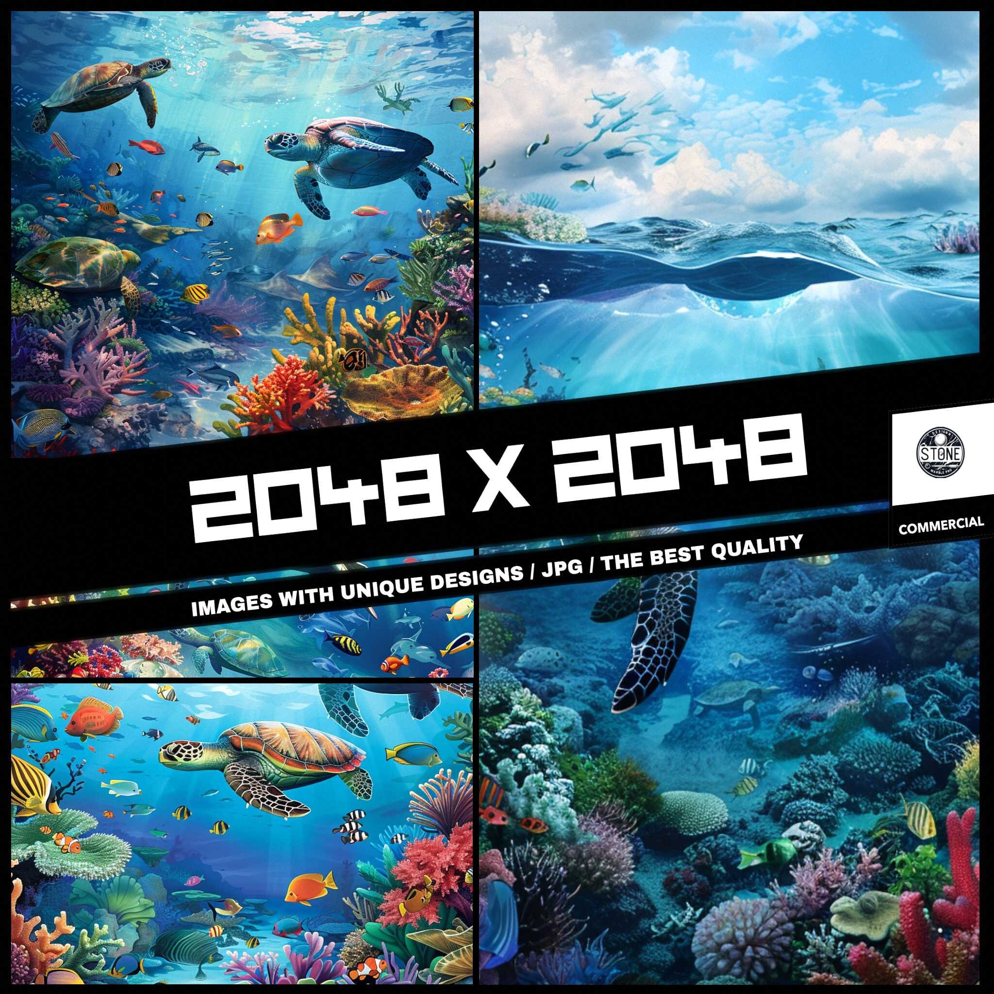 40 Beautiful Images of Marine Life, Ideal for Any Type of Project: High ...