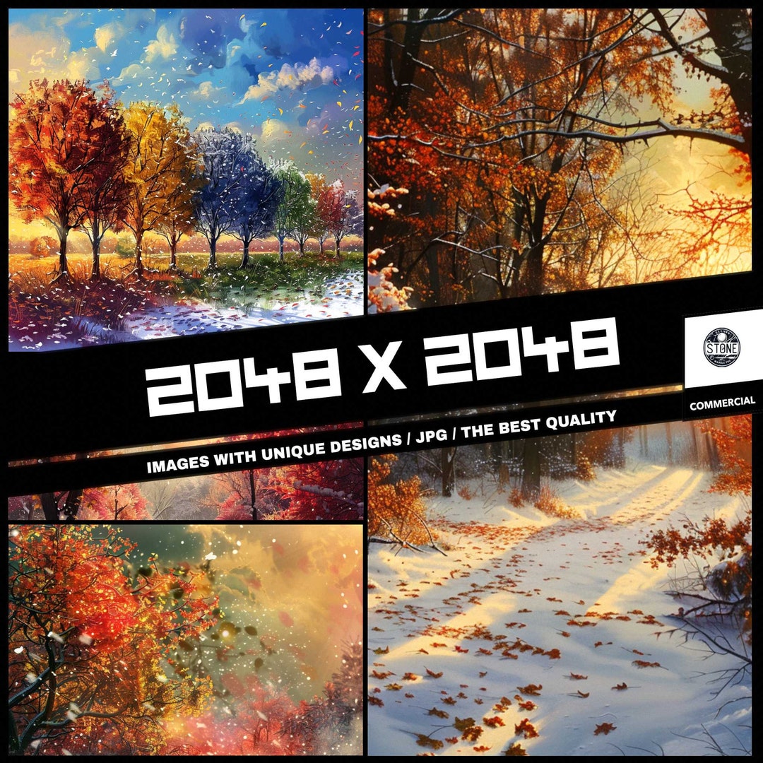 40 Beautiful Images of the Four Seasons, Ideal for Any Type of Project ...