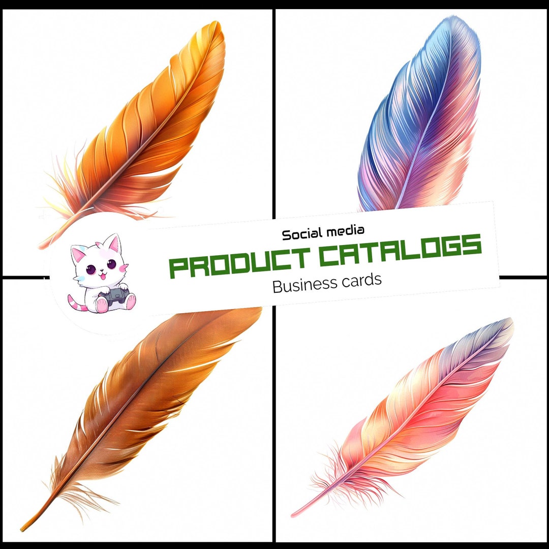 12 Beautiful Images of Bird Feathers, Ideal for Any Type of Project ...