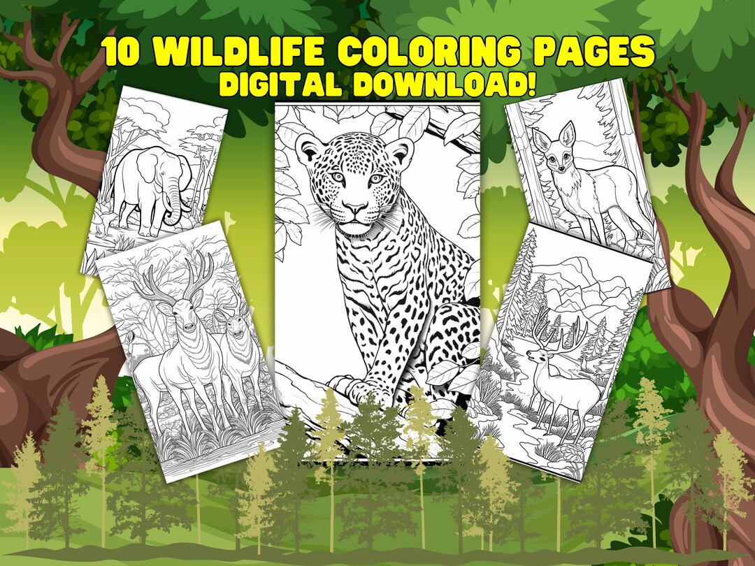 Wild Animal Printable Coloring Pages Kids Wild Animal - Etsy