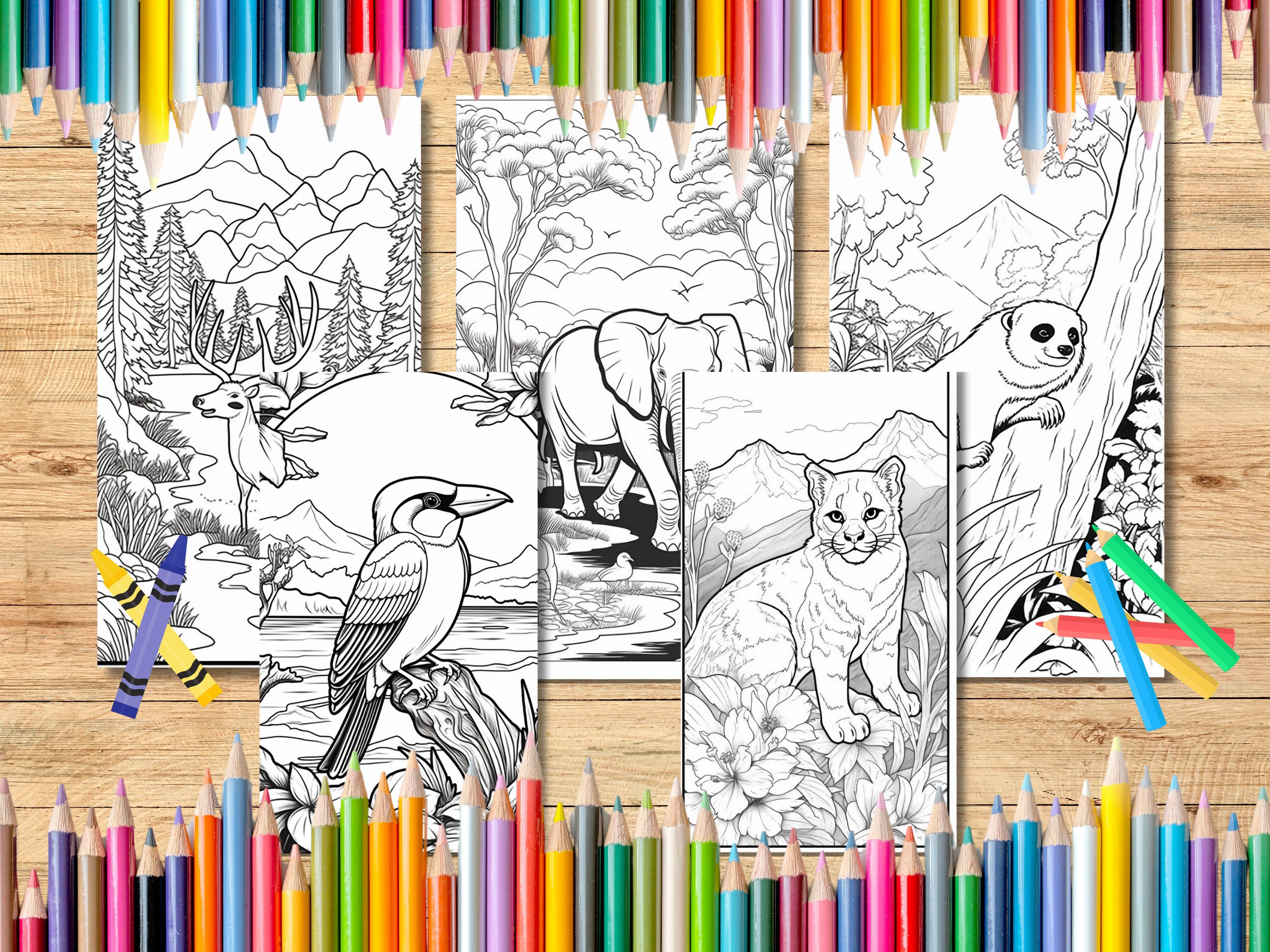 Wild Animal Printable Coloring Pages Kids Wild Animal - Etsy