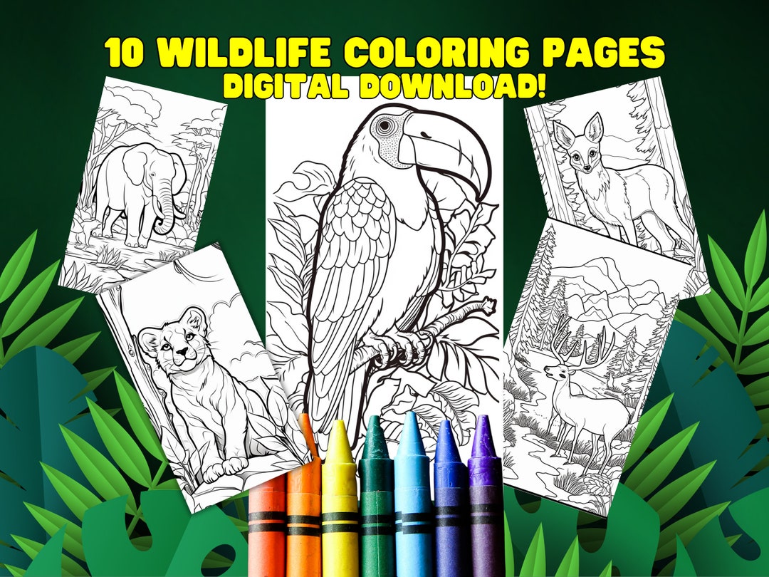 10 X Wild Animal Printable Coloring Pages Kids Wild Animal - Etsy
