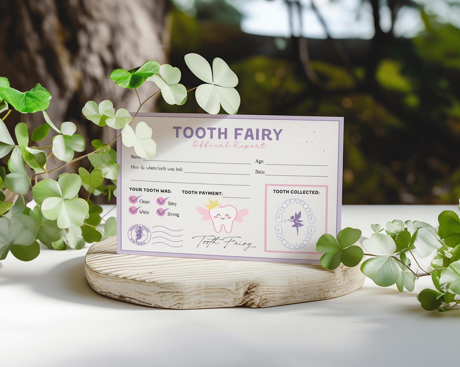 Printable Tooth Fairy Report Card, Kids Lost Tooth Keepsake (digital ...