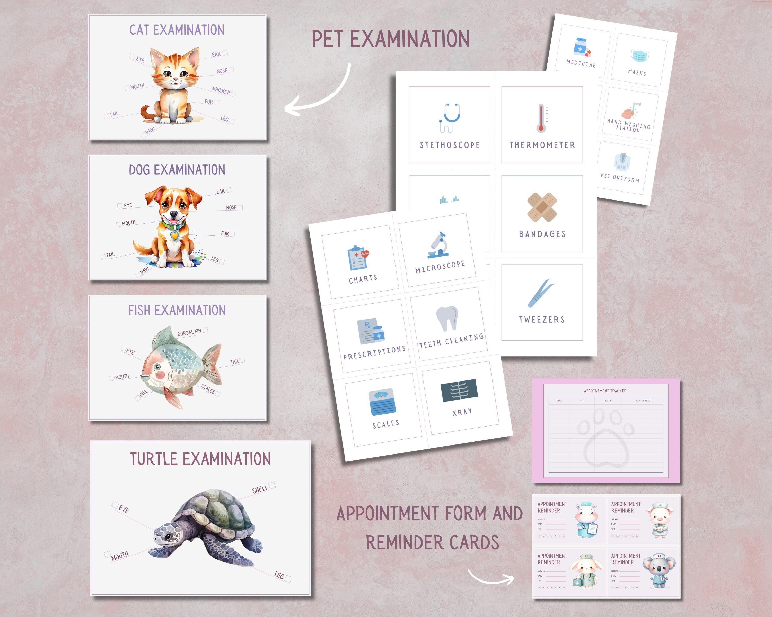 Vet Clinic Dramatic Play for Kids | Pretend Play for Playroom ...