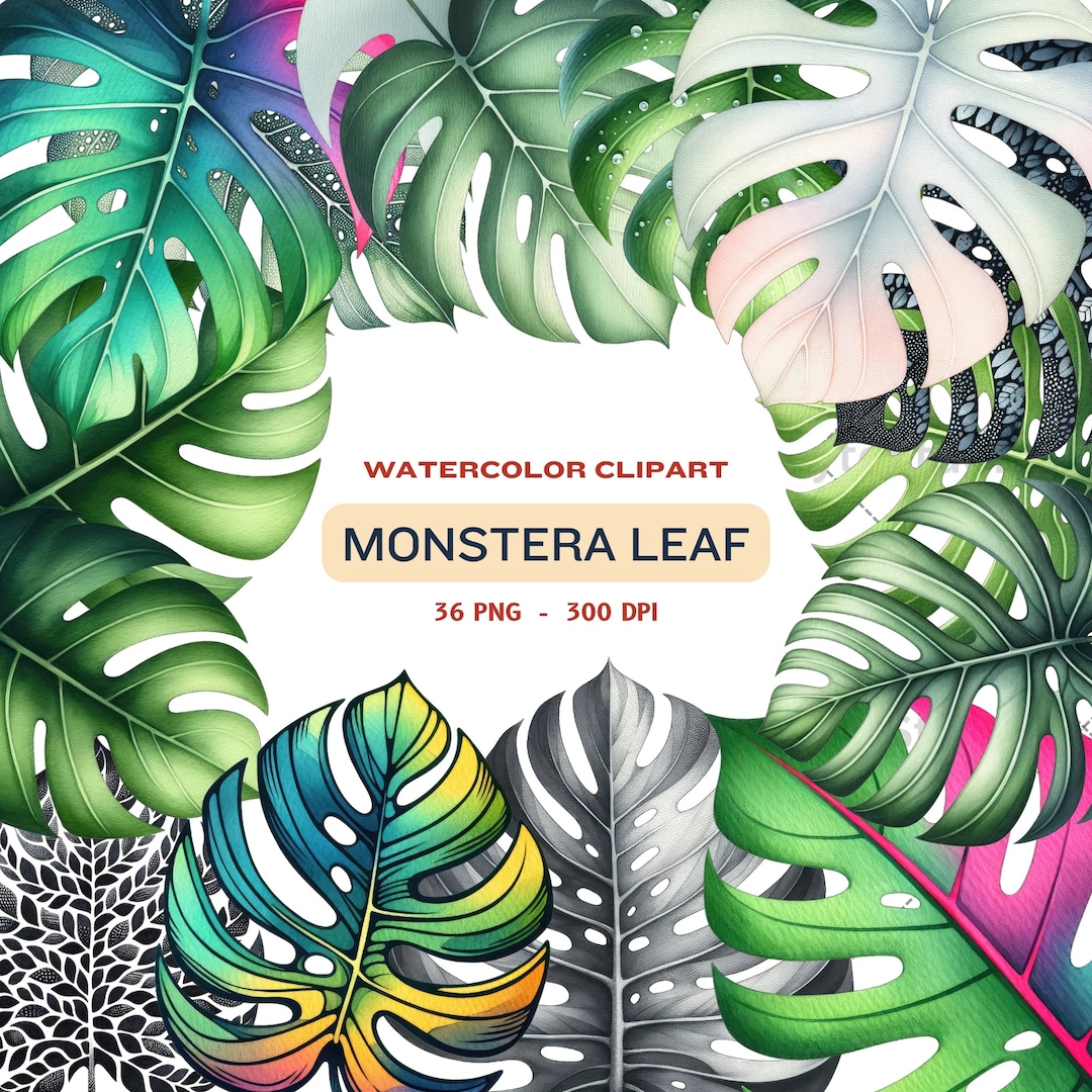Monstera Leaves Clipart, Tropical Monstera Leaves, Watercolor Clipart ...