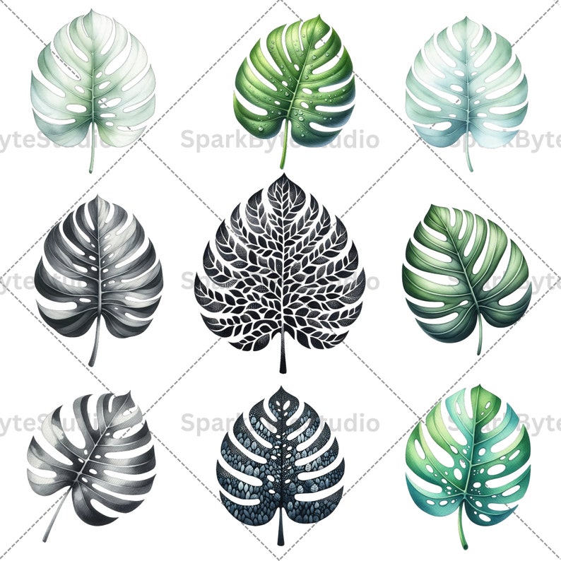Monstera Leaves Clipart, Tropical Monstera Leaves, Watercolor Clipart ...