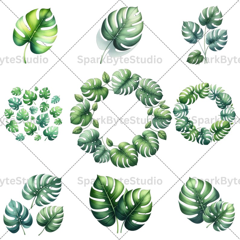 Monstera Leaves Clipart, Tropical Monstera Leaves, Watercolor Clipart ...